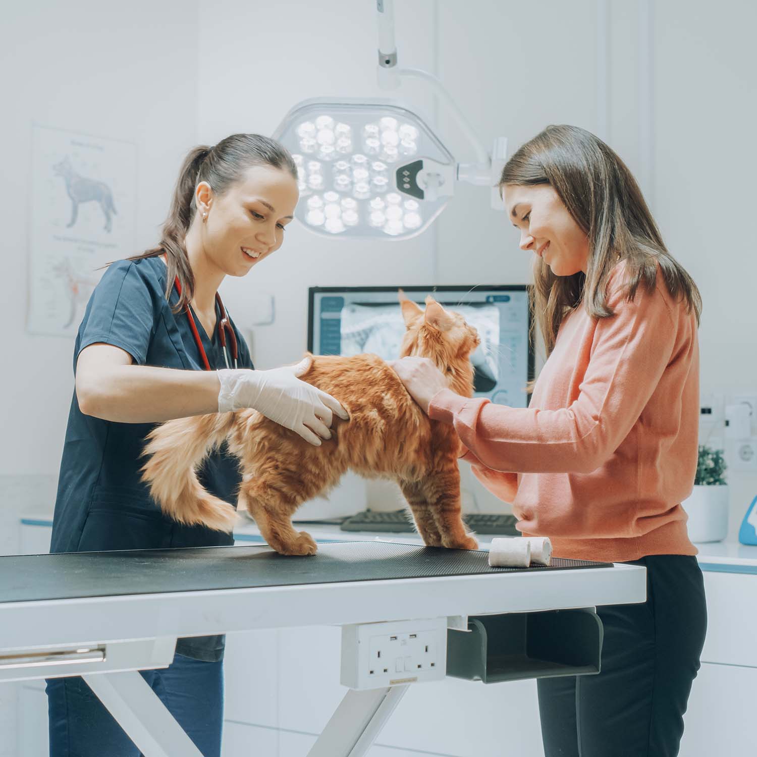 Vet Scheduling Software By Legion WFM