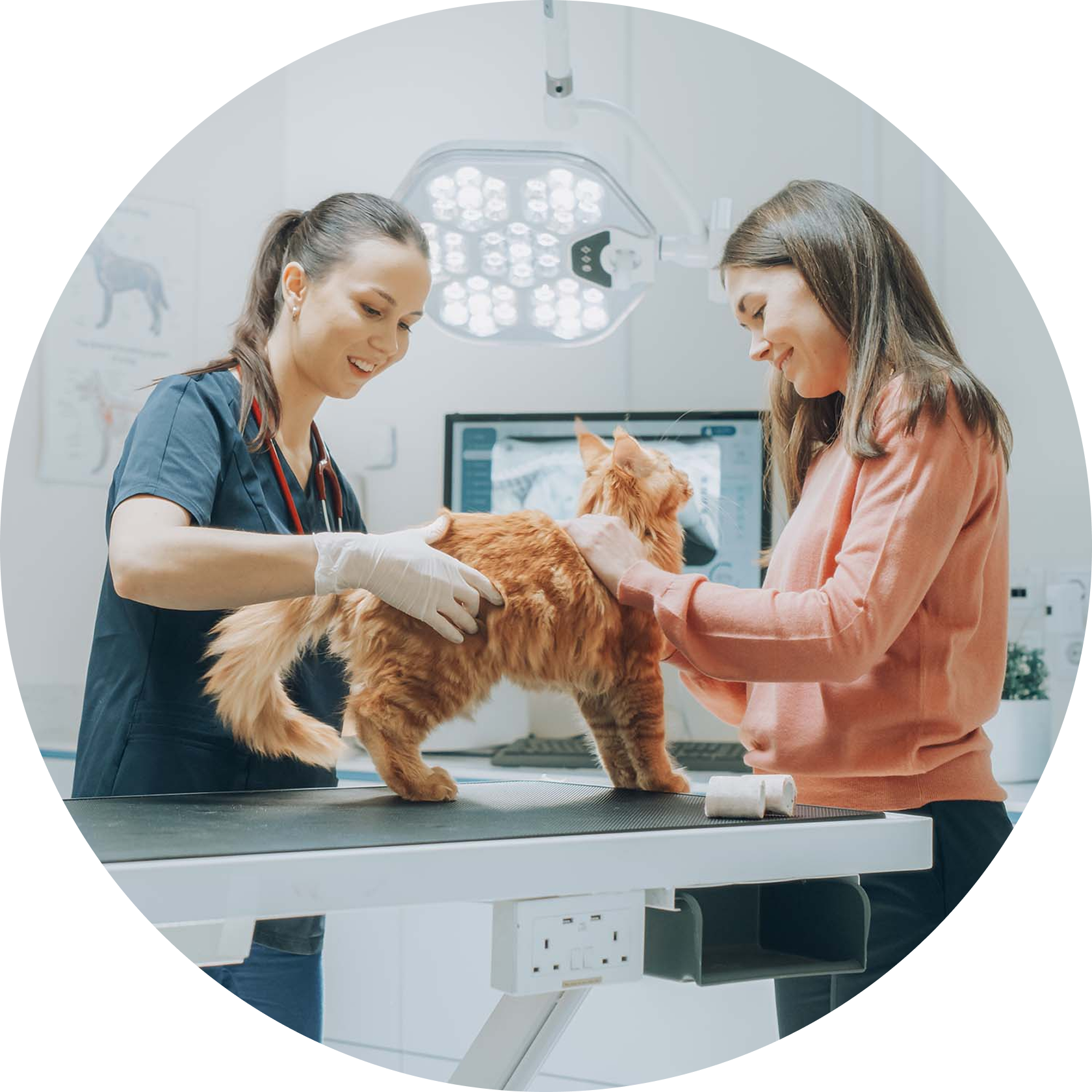 Workforce Management Software for Veterinary Care